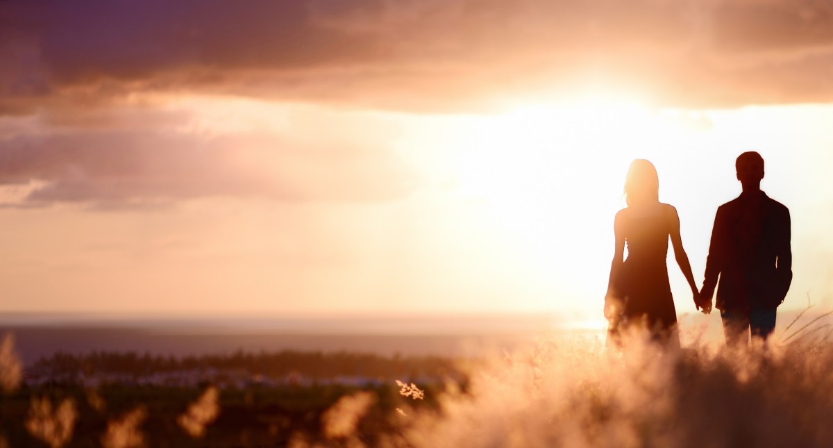 The One Series | The Art of Becoming One